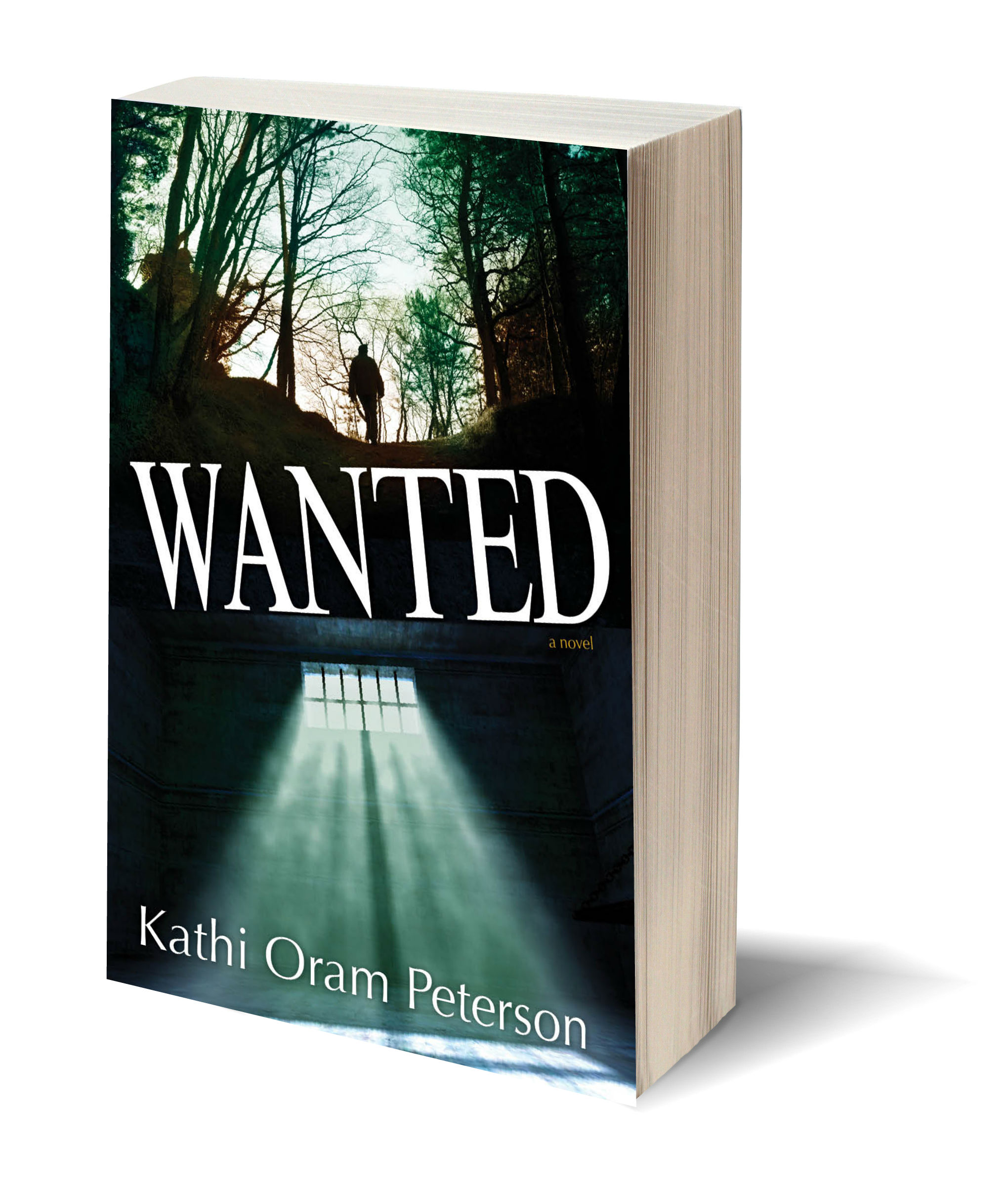 Blog | Author Kathi Oram Peterson